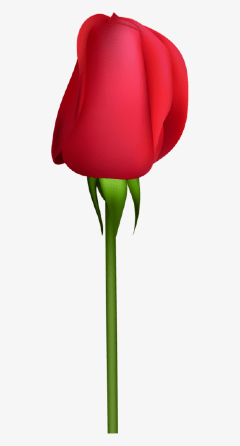 Free Png Download Rose Bud Transparent Png Images Background - Bud ...
