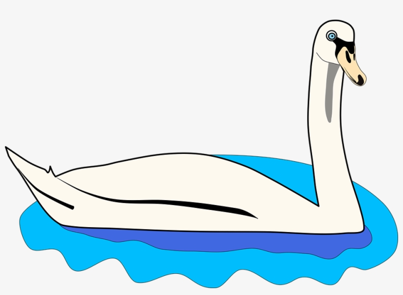 Water Bird Vector Graphics - Clipart Swan - 960x656 PNG Download - PNGkit