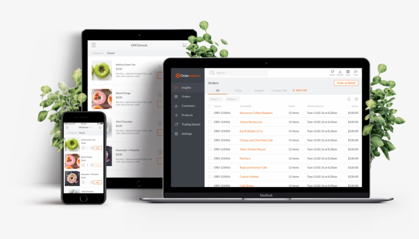 Leaves - Web Design - 1273x665 PNG Download - PNGkit