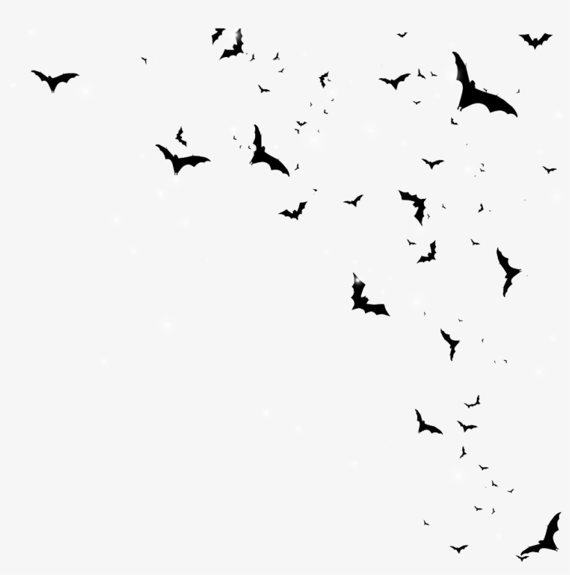 Bats Png - 1024x1024 PNG Download - PNGkit