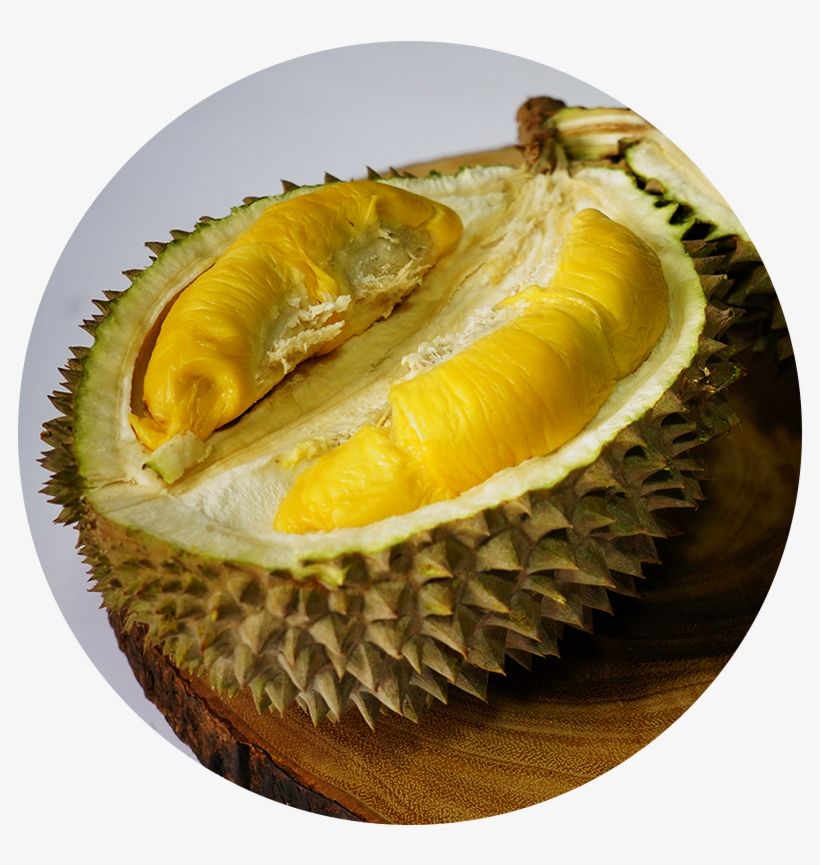 Musang King - Durian - 800x800 PNG Download - PNGkit