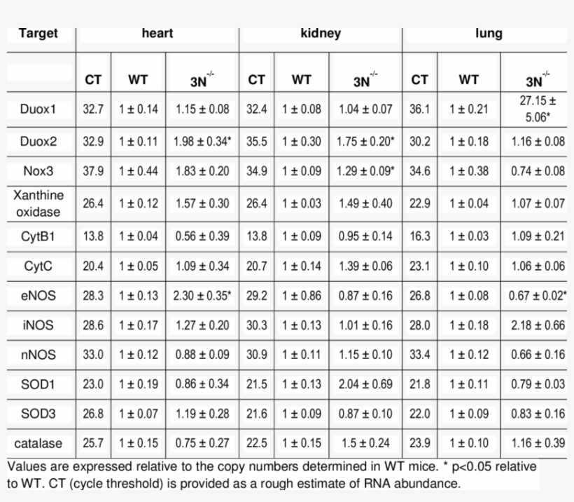 Qrt-pcr From Heart, Kidney And Lung Tissue - Circle - 850x701 PNG ...
