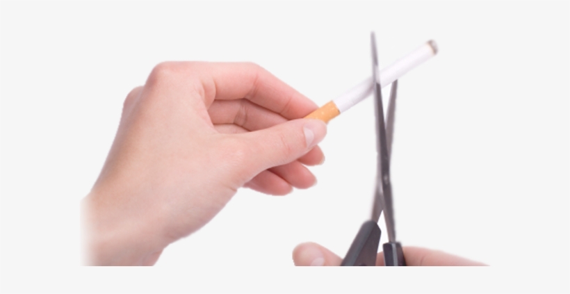 Left Hand Holding Unlit Cigarette, Right Hand Holding - Hand Holding ...