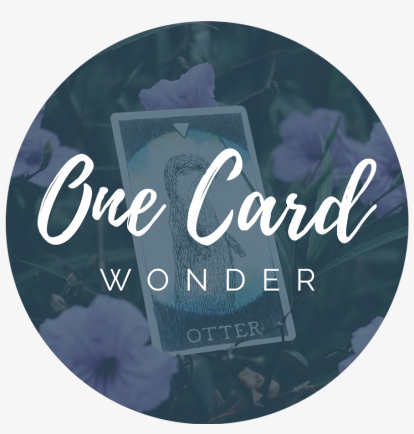 One Card Wonder Product Button - Label - 1000x922 PNG Download - PNGkit