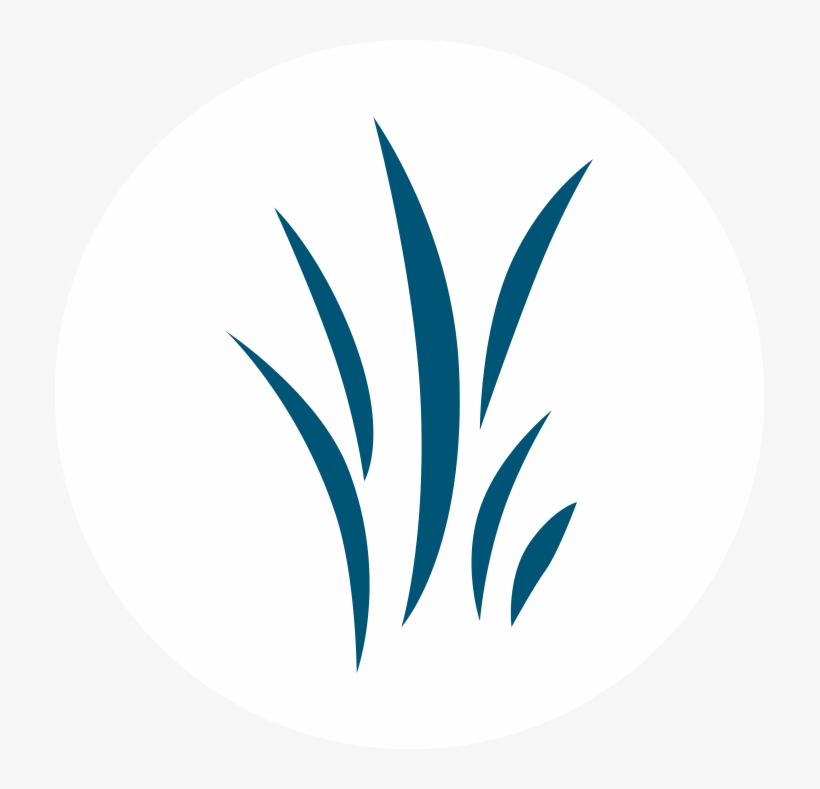 Algae - Circle - 709x709 PNG Download - PNGkit