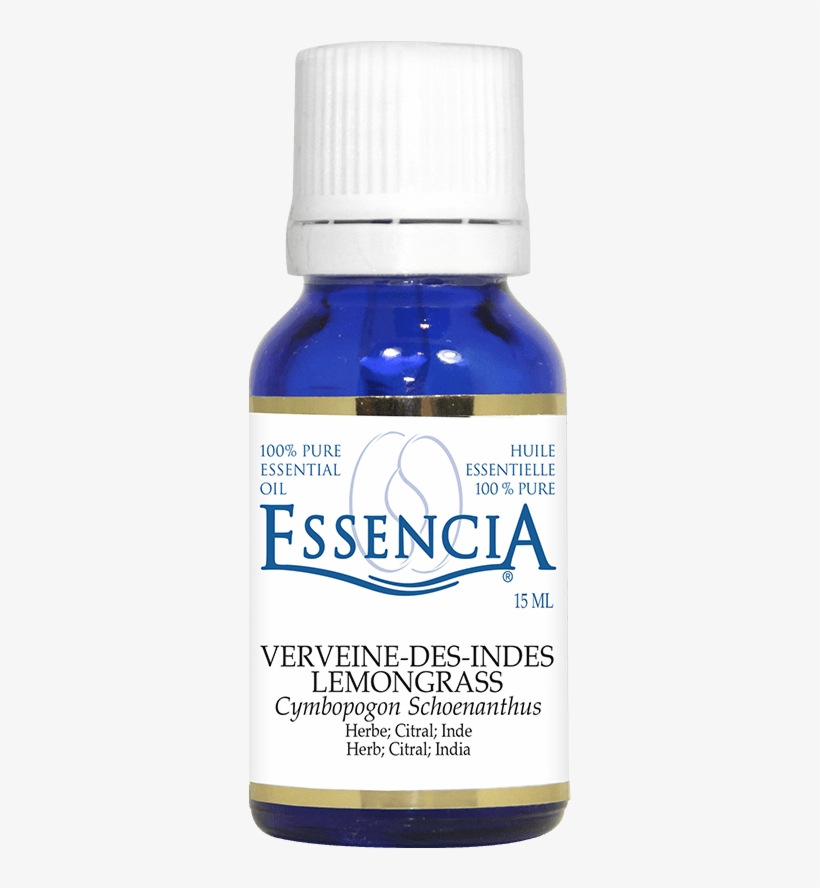 Download Transparent Head Lice - PNGkit