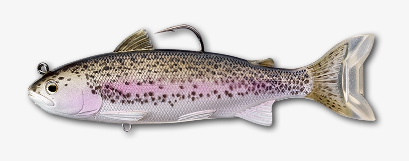 Livetarget Lures Trs190ms715 Trout Parr Swimbait - 750x269 PNG Download ...