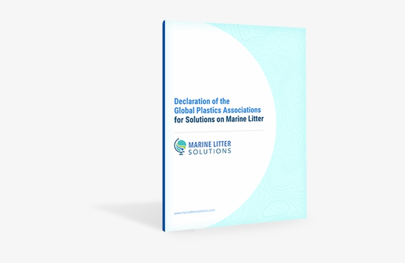 Global Declaration - Declaration - 536x546 PNG Download - PNGkit