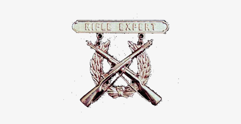 Usmc Rifle Expert Badge Png - Marksmanship Badges - 400x342 PNG ...