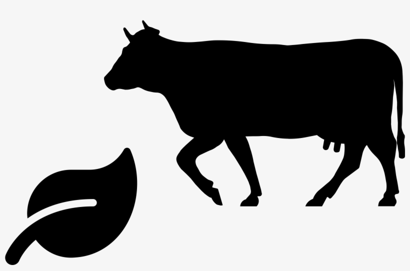 Sustainable Meat Icon - Transparent Cow Silhouette - 2732x1680 PNG ...