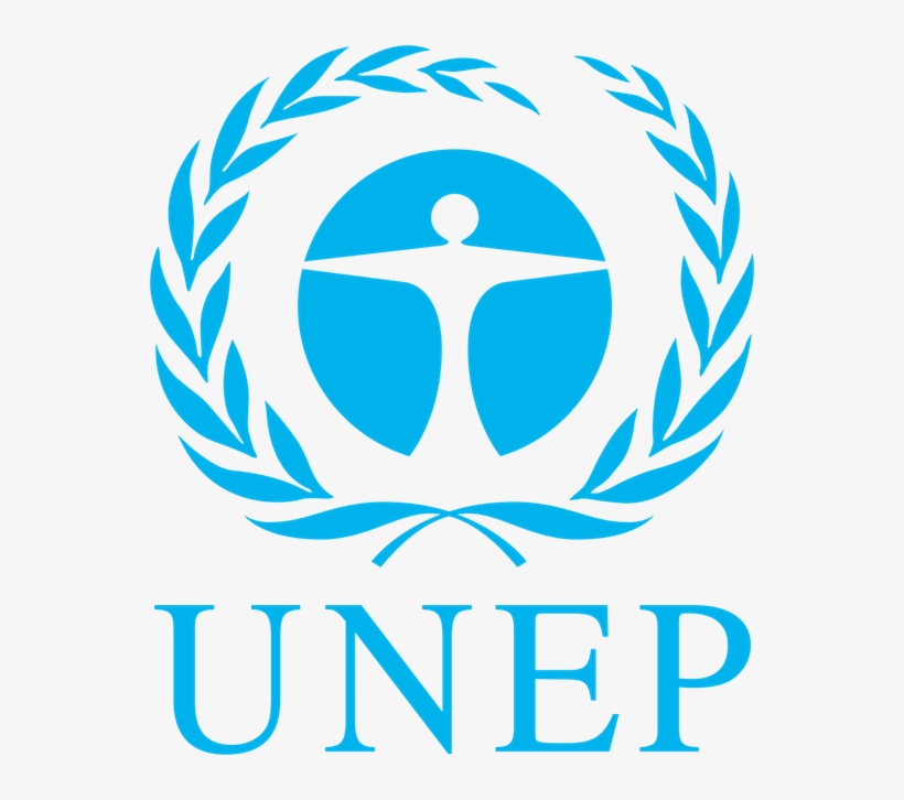 The United Nations Environment Programme Recently Announced - United ...