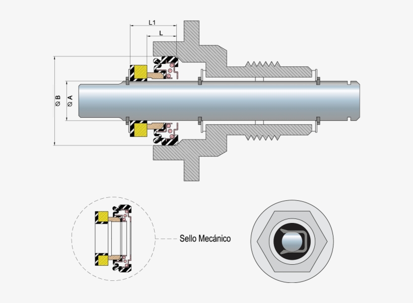 Characteristics - Diagram - 610x522 PNG Download - PNGkit