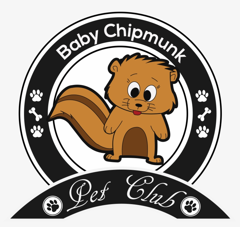 Chipmunk - Pig - 6341x5704 PNG Download - PNGkit