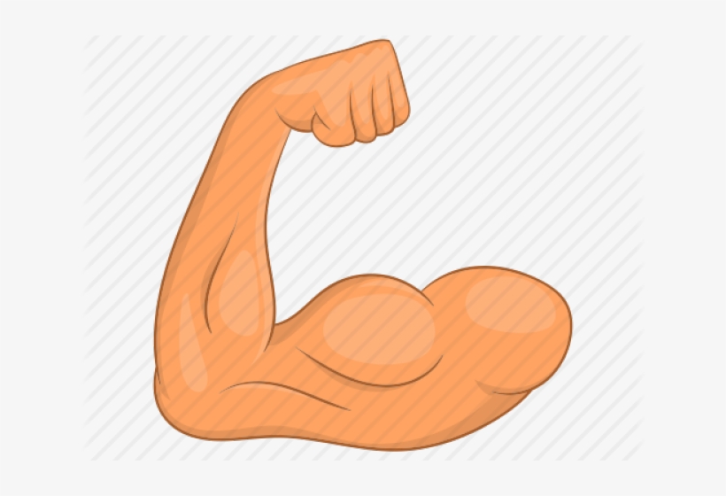 Cartoon Bicep Muscle - 640x480 PNG Download - PNGkit