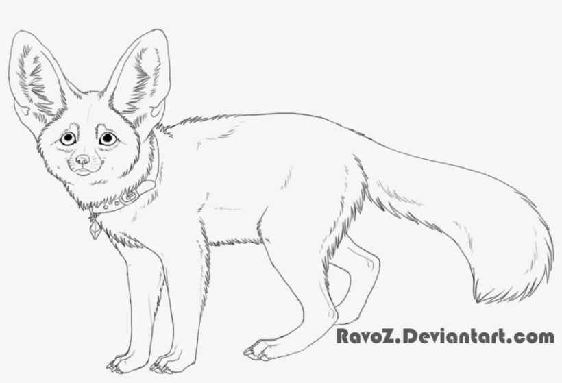 Fennec Fox Lineart