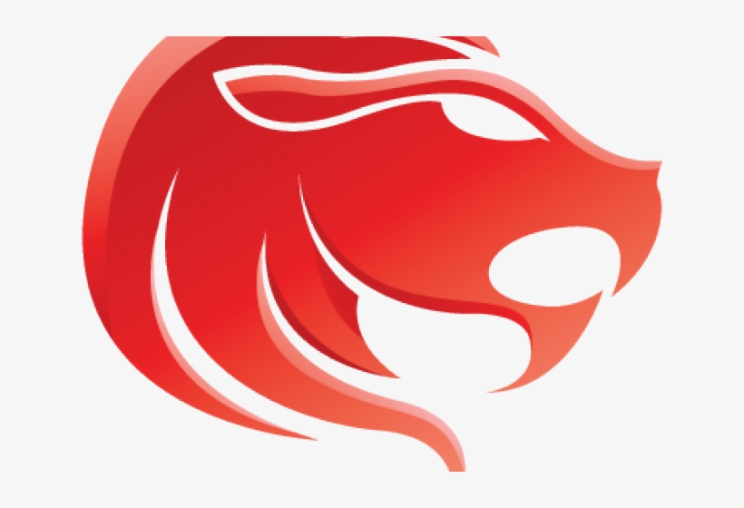 Star Signs - 640x480 PNG Download - PNGkit