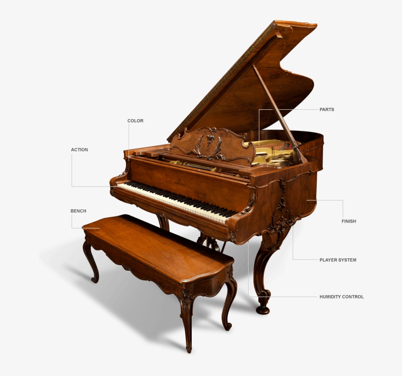 Tailored Restoration - Parts Of A Grand Piano Exterior - 671x687 PNG ...