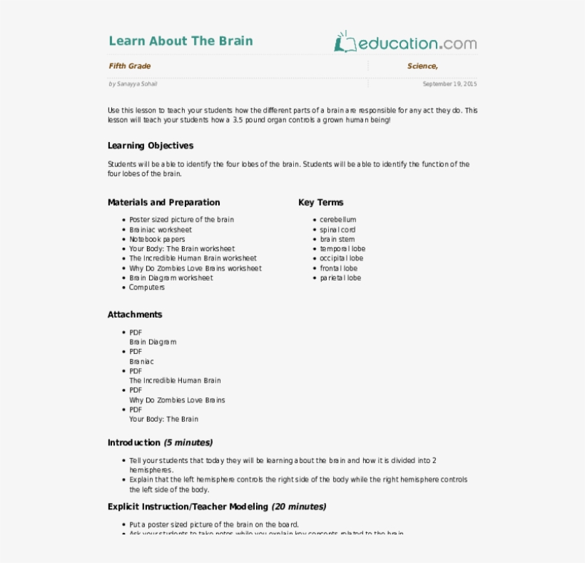 Download Transparent Learn About The Brain - Lesson Plan On Plants For ...