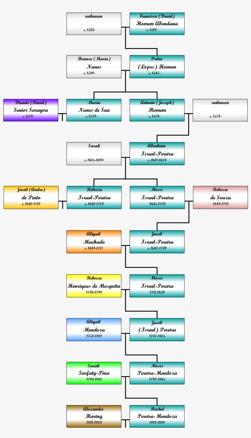 Pereira Mini-tree - Style - 886x1505 PNG Download - PNGkit