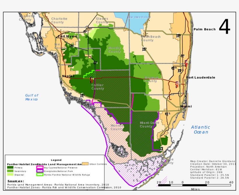 Open - Florida Panthers Animal Range - 2000x1545 PNG Download - PNGkit