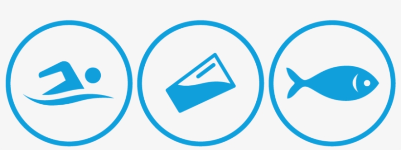 Swimmer Png - 1000x407 PNG Download - PNGkit