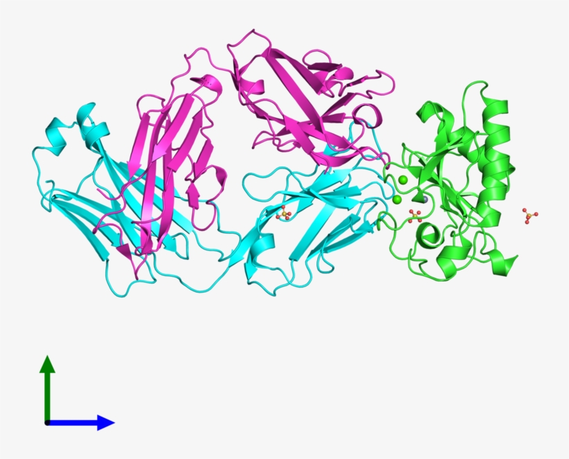 Ribbon Structure Of 3mxw - Protein - 800x800 PNG Download - PNGkit
