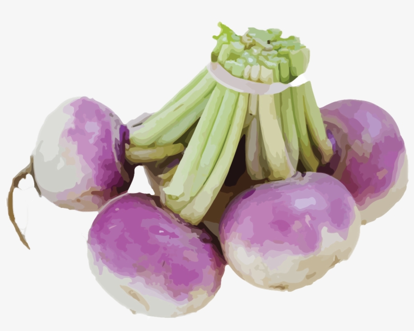 Turnip 2 - Turnip - 1275x871 PNG Download - PNGkit