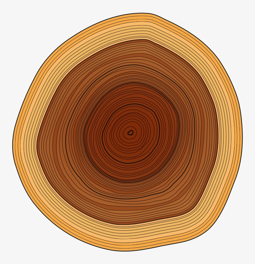Download Transparent Annual Rings Image Royalty Free - Wood Log Vector ...