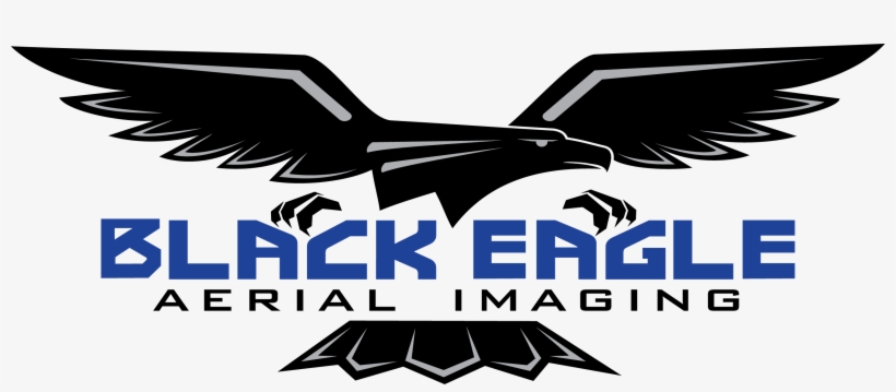 Download Transparent Black Eagle Aerial Imaging - Photography - PNGkit