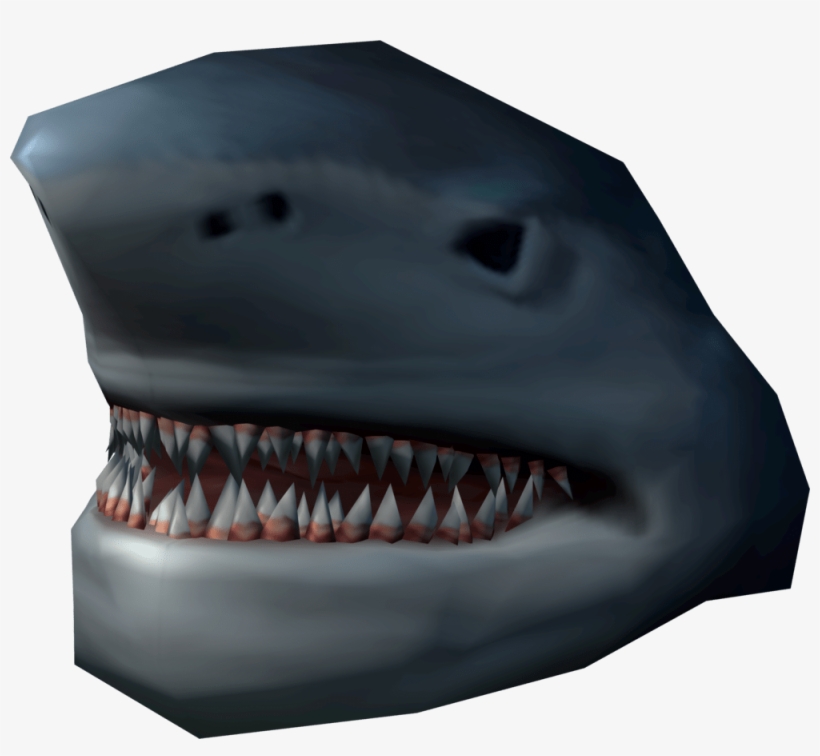 Shark Head Runescape Wiki Fandom Powered Wikia - Tiger Shark - 1000x874 ...