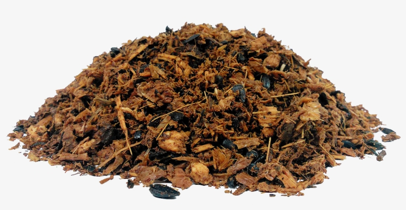 Koffie Bonnen - 1199x900 PNG Download - PNGkit