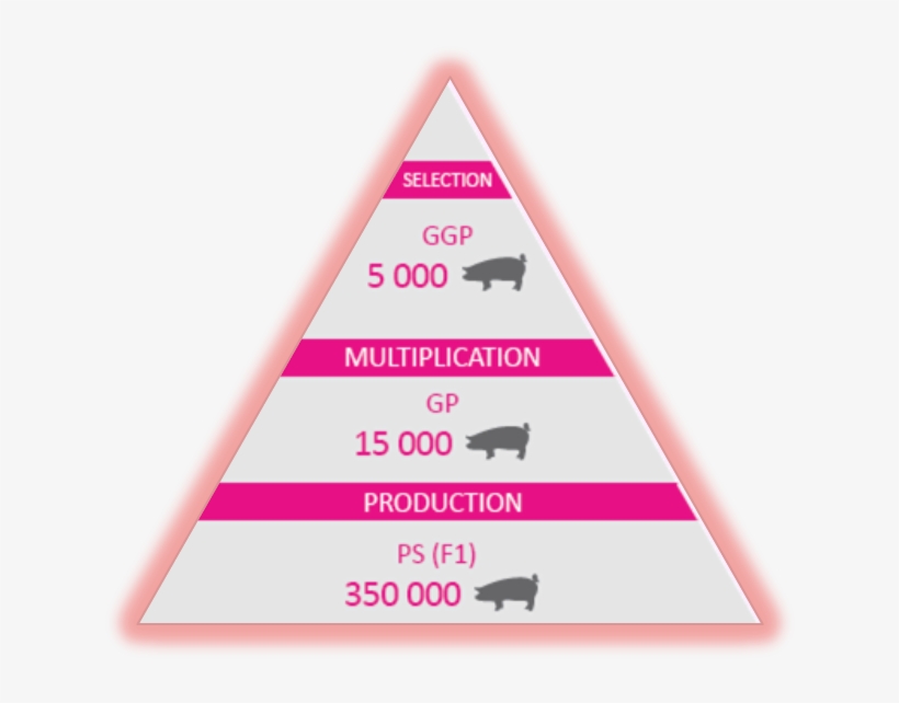 Nucleus - Sign - 649x578 PNG Download - PNGkit