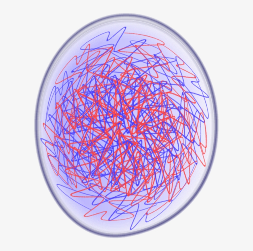 Download Transparent Nucleus, Mitosis, Eukaryotic Cell Division ...