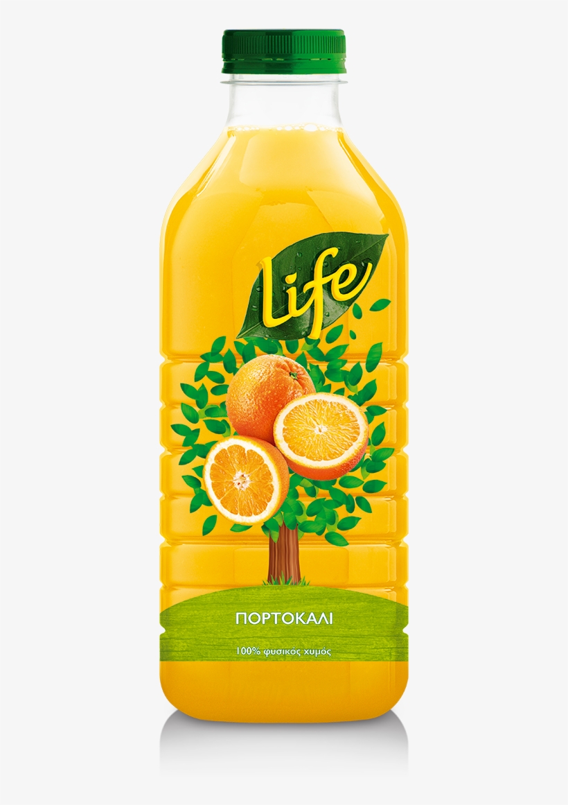 Life Orange - 800x1180 PNG Download - PNGkit