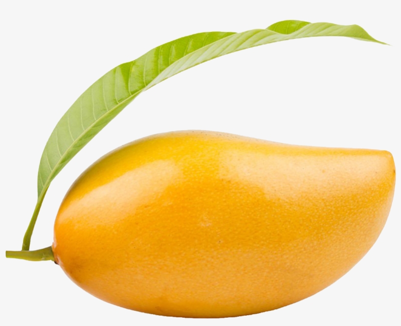 Mango Png Clipart - Ripe Mango - 1469x980 PNG Download - PNGkit