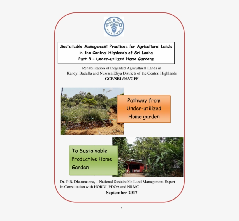 Pdf - United Nations Redd Programme - 600x776 PNG Download - PNGkit