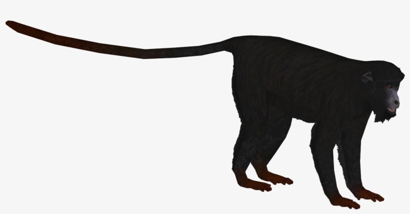 Red-handed Howler Monkey - Howler Monkey Zoo Tycoon Png - 1307x1307 PNG ...