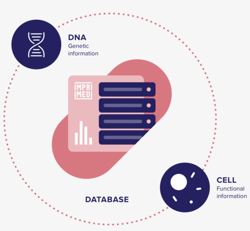 Download Transparent Database - Graphic Design - PNGkit