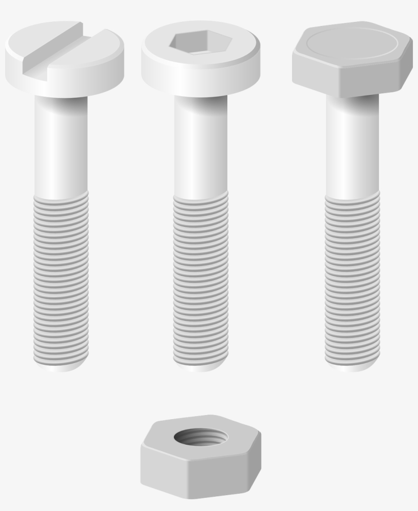 Nut - 694x800 PNG Download - PNGkit