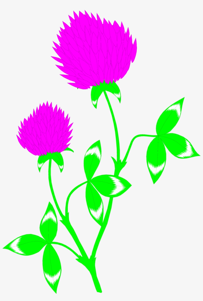 Red Clover Flower Clip Art - Red Clover Clip Art - 958x1372 PNG ...