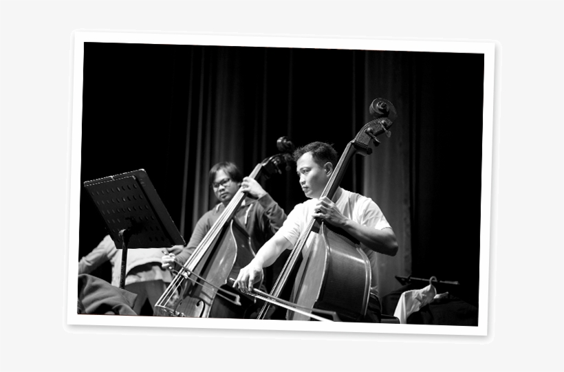 String Quartet - Composer - 662x480 PNG Download - PNGkit