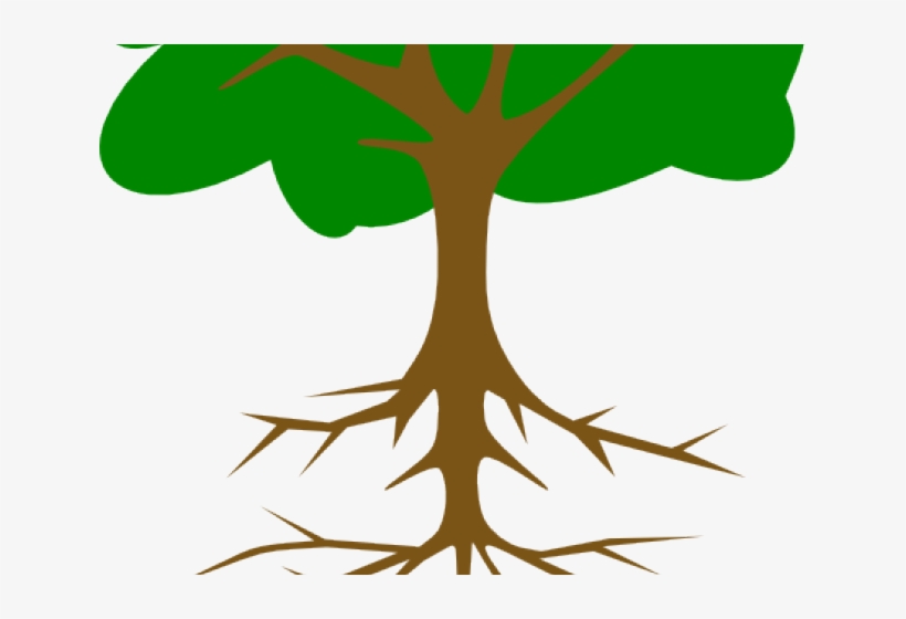 Roots Clipart Plant Root - Tree Clip Art - 640x480 PNG Download - PNGkit