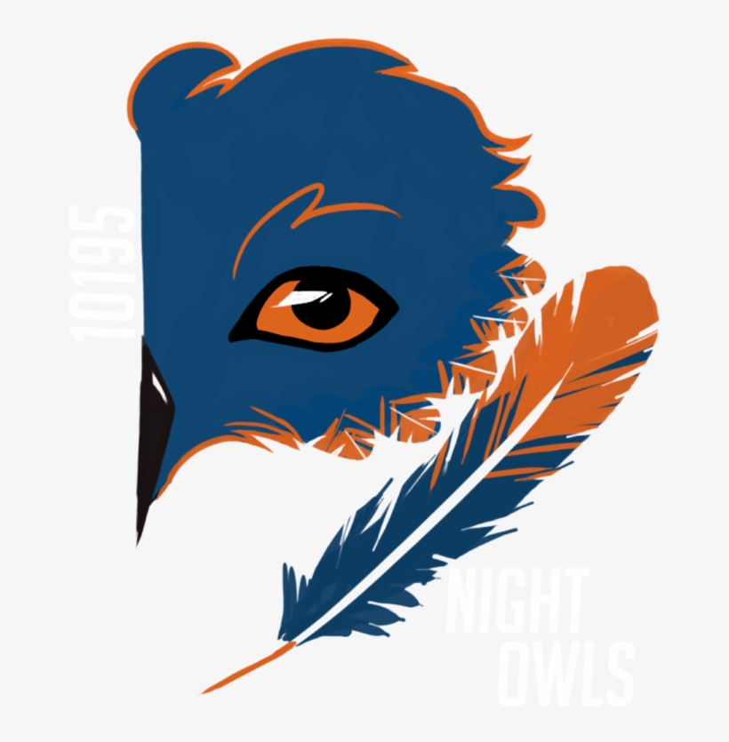 Download Transparent Feather Clipart Owl - Illustration - PNGkit