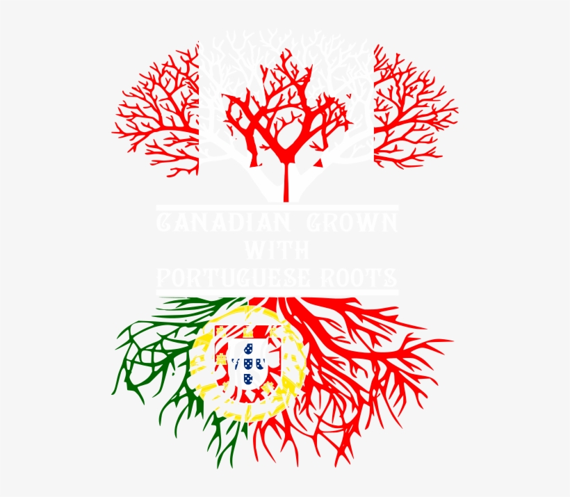 California Outline - Bare Tree Clip Art - 500x635 PNG Download - PNGkit