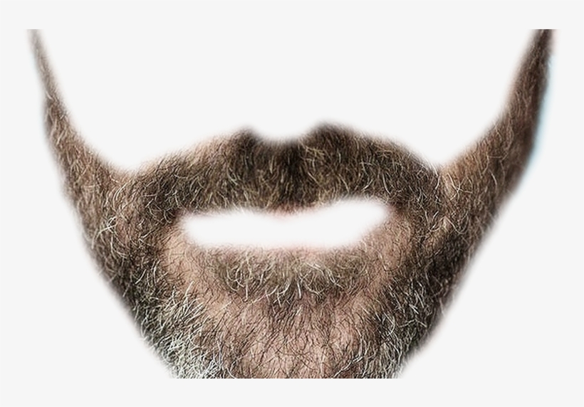 Realistic Mustache Transparent Background - Much Dadhi Png - 800x491 ...