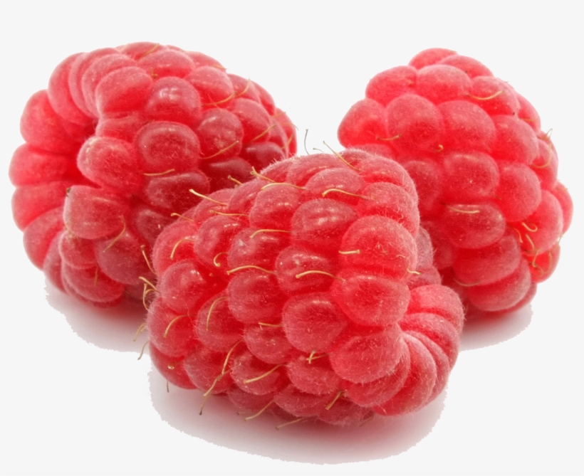 Raspberry Png File - Raspberry File Png - 1422x1056 PNG Download - PNGkit