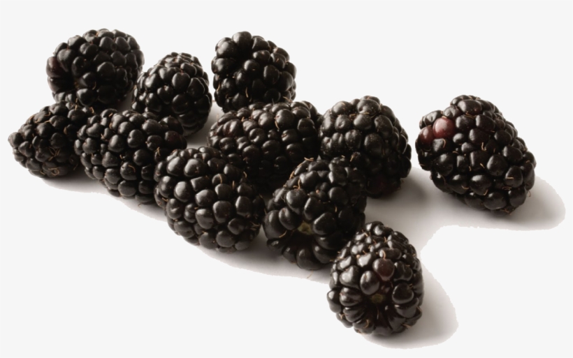 Black Raspberries Transparent Background - Black Raspberries Png ...