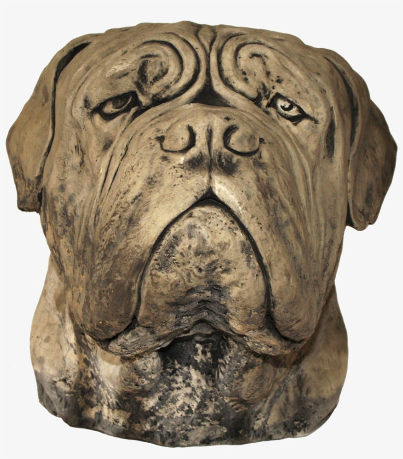 Large Dog Head - 1000x1000 PNG Download - PNGkit
