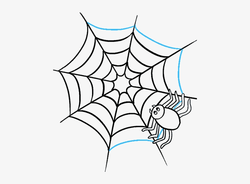 How To Draw Spider Web With Spider - Spider Web - 678x600 PNG Download ...