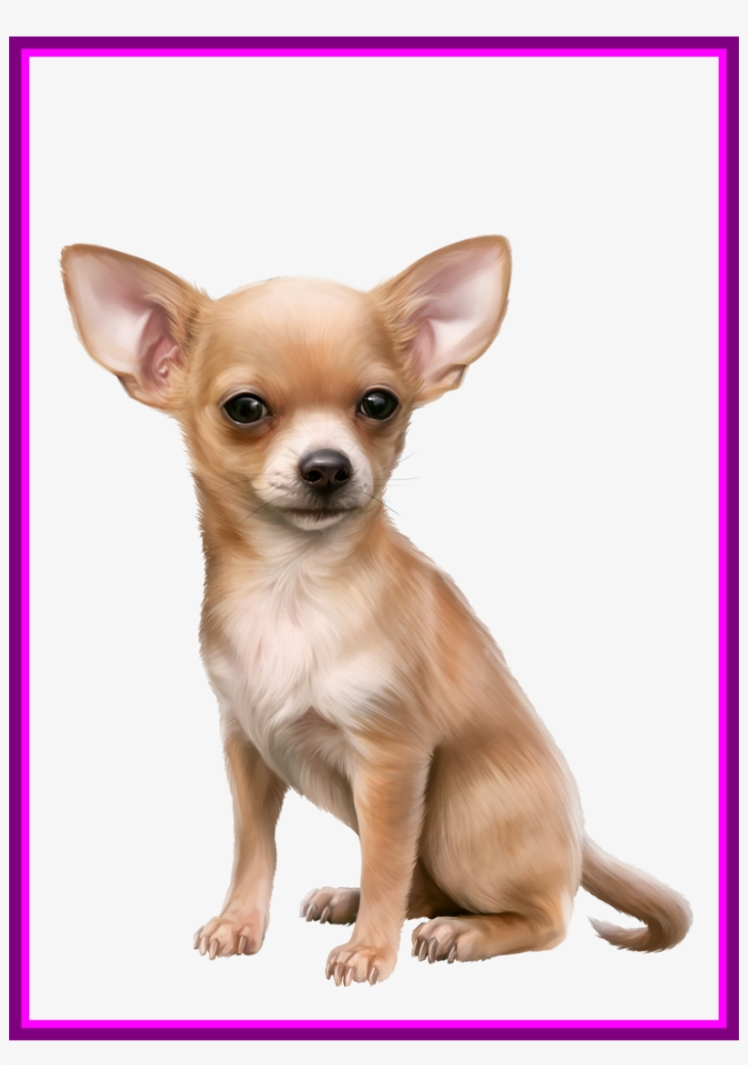 Amazing A Vector Illustration Of Different Dog - Chihuahua Clip Art ...